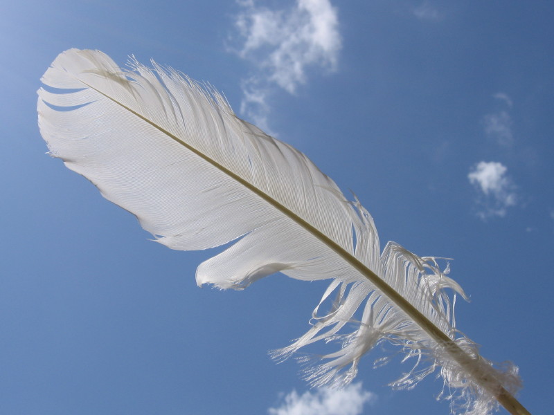 Il Tocco di una Piuma